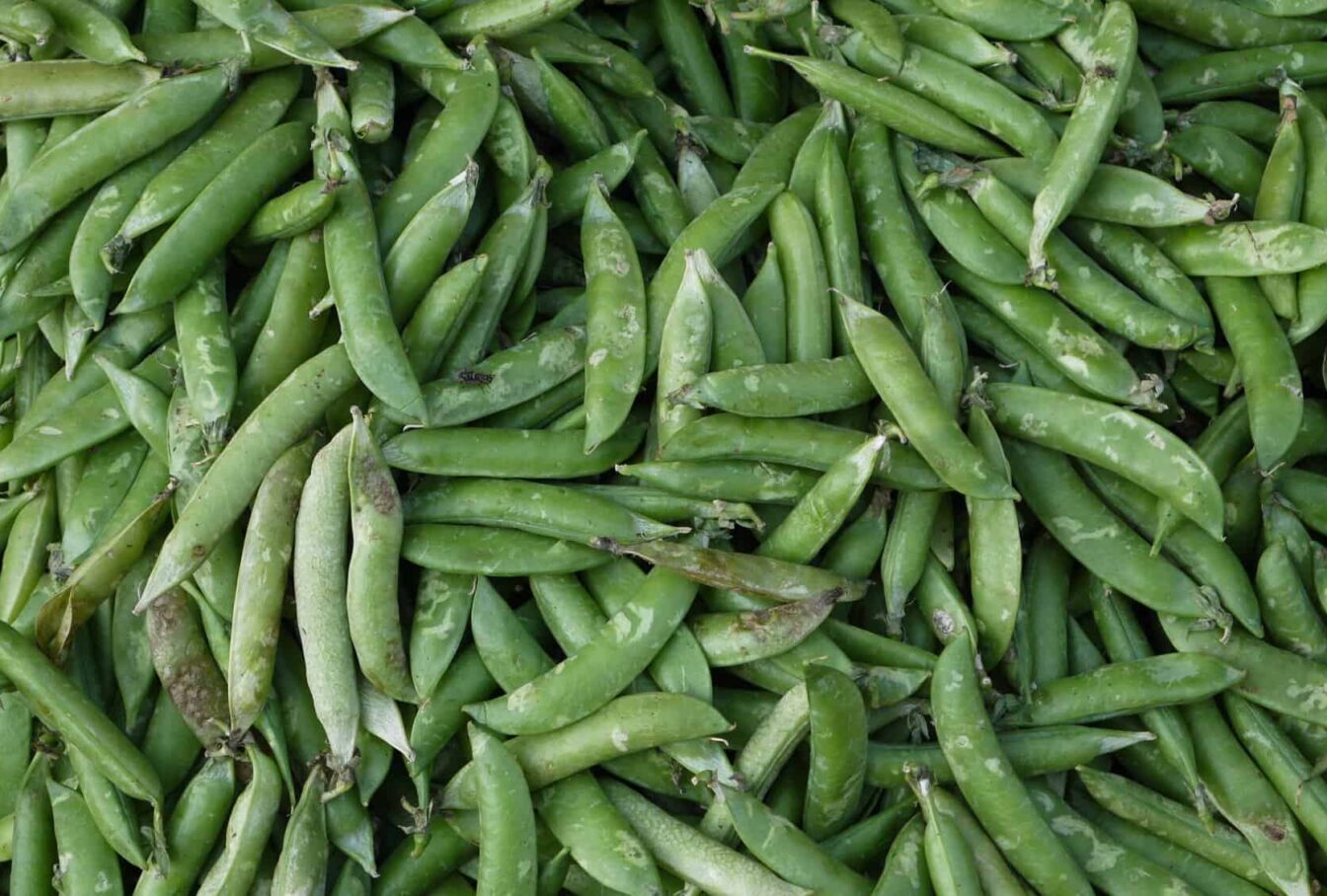 Peultjes koken: tips + recepten - Foodies