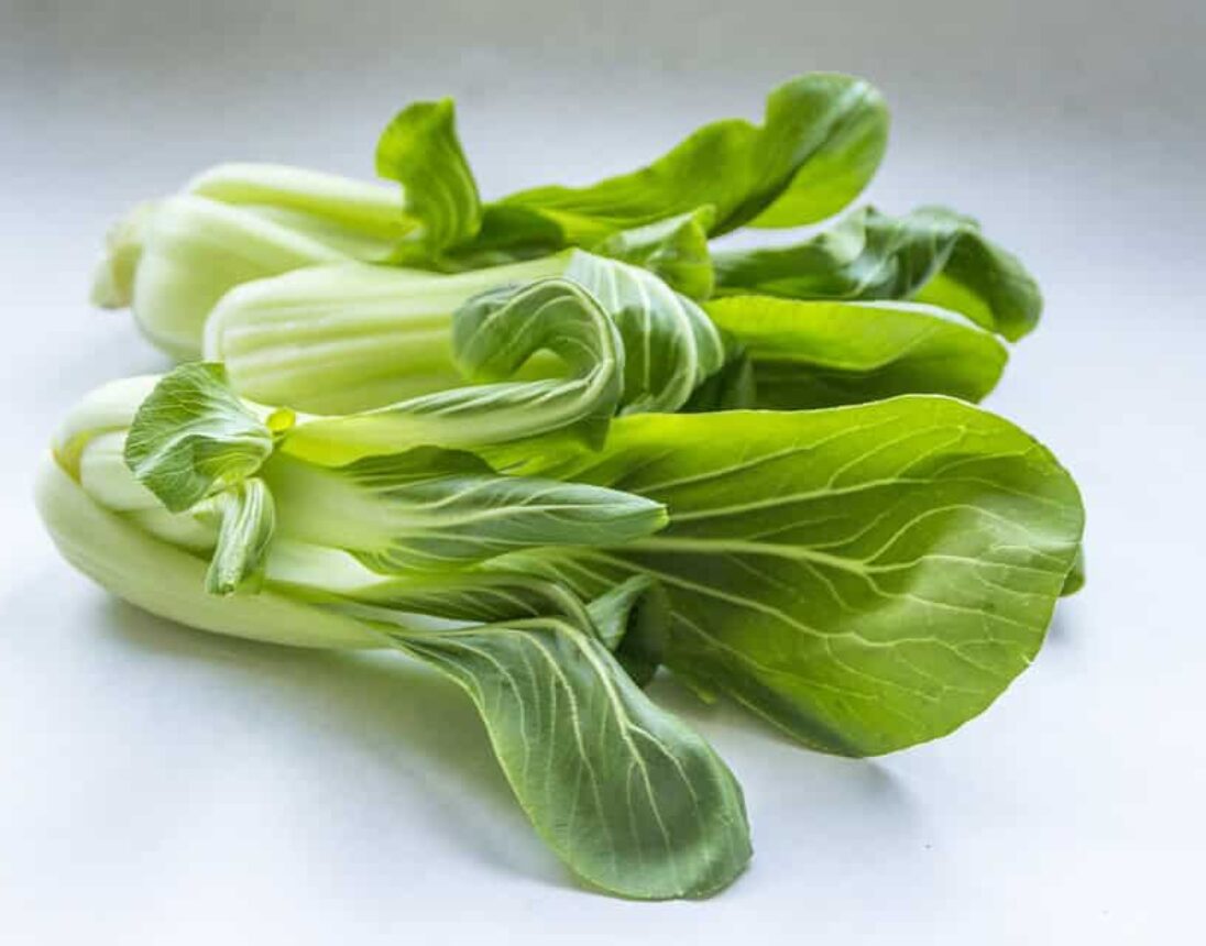 Wat is paksoi en wat kun je ermee? - Foodies