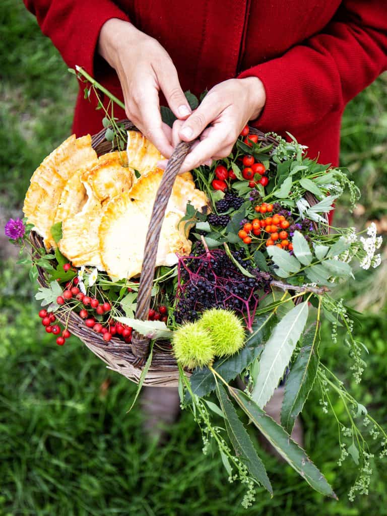 Wildplukken: 8x voedselbos in Nederland - Foodies