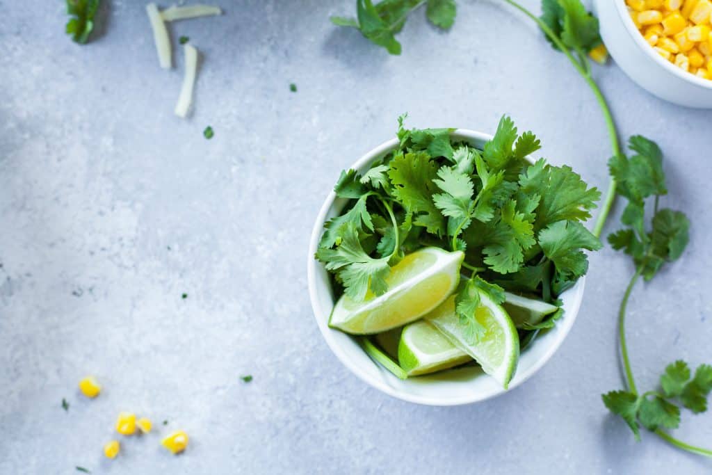Wat is koriander en wat kun je ermee? - Foodies