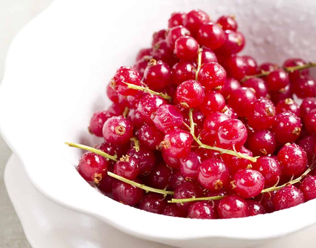 Wat zijn aalbessen en wat kun je ermee? - Foodies