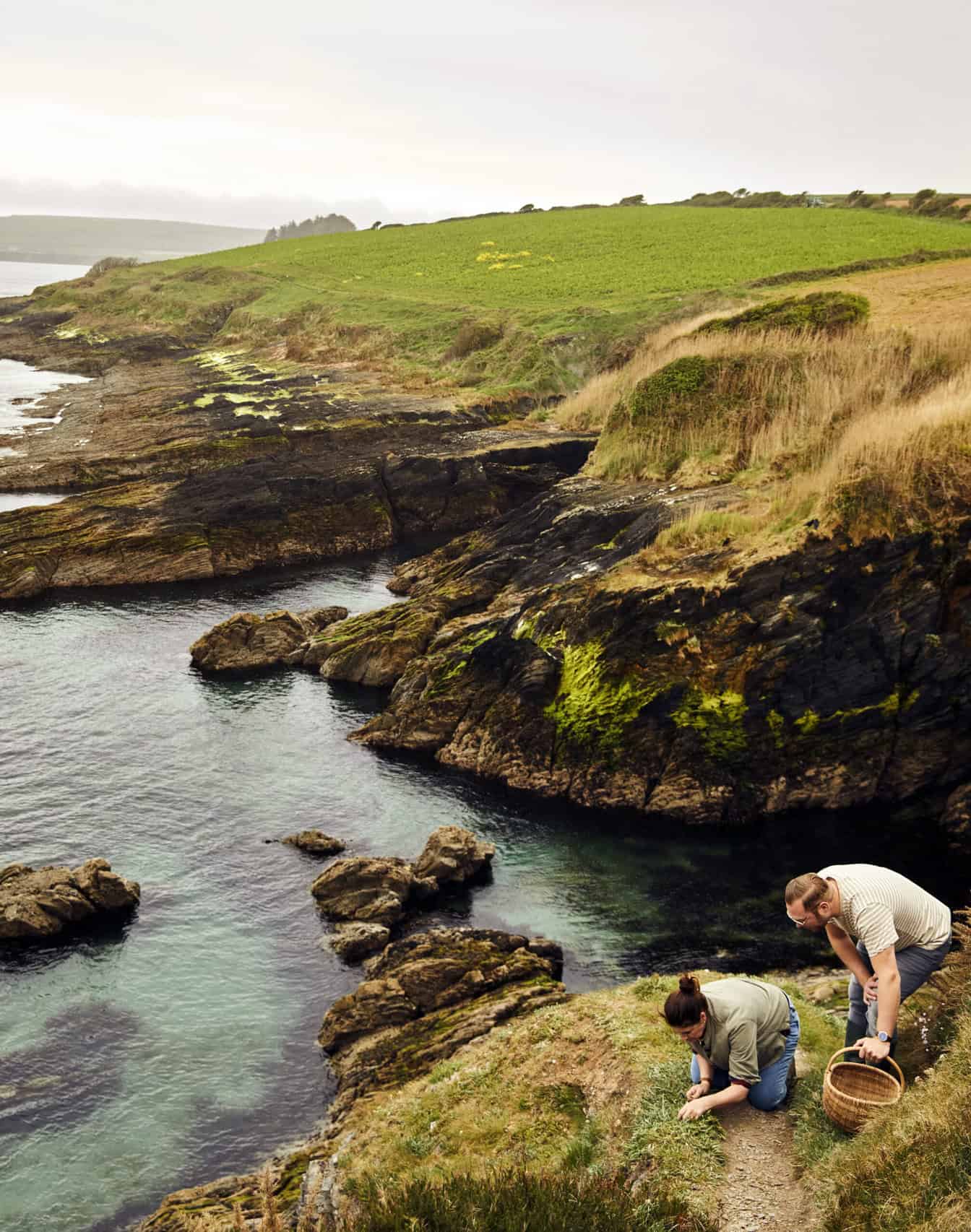 Wildplukken met Yvette van Boven in Ierland - Foodies