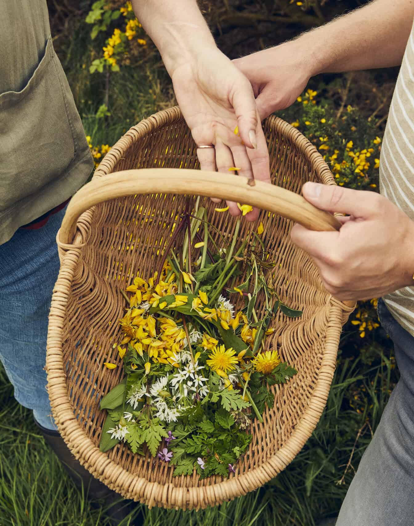 Wildplukken met Yvette van Boven in Ierland - Foodies