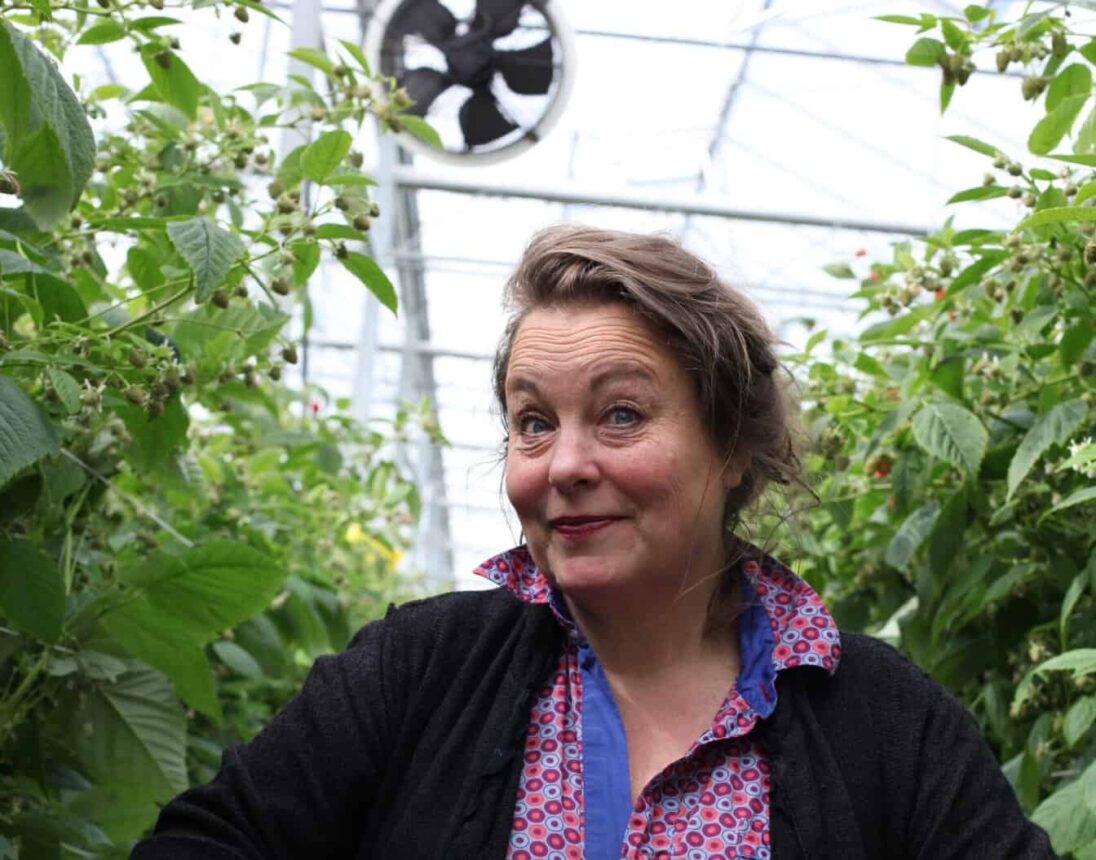 Lekker bezig: Potverdorie! redt groenten en fruit van de vuilnisbak ...