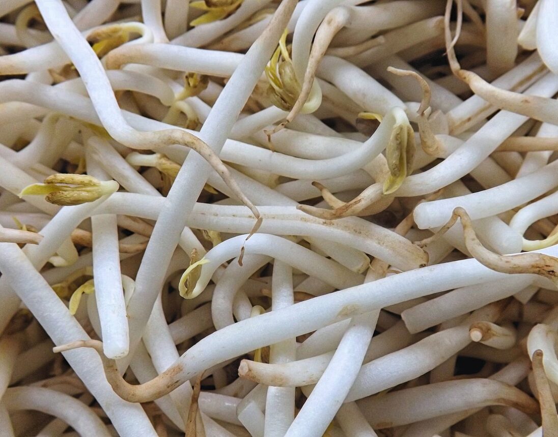 Wat is taugé en wat kun je ermee? - Foodies